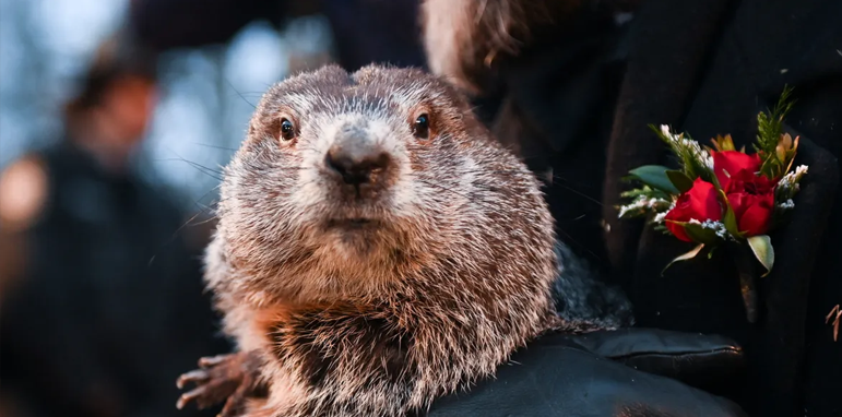 The Surprising Catholic Connections to Groundhog's Day | St. Margaret ...